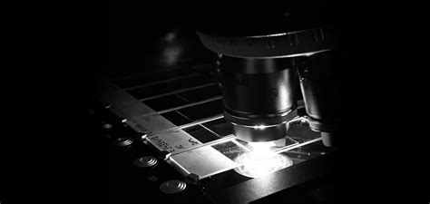 Team Iimaging Intelligent Imaging