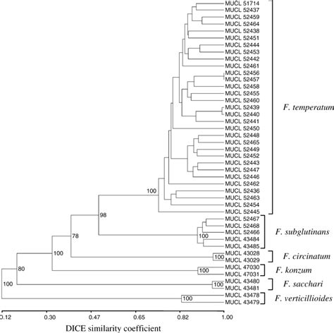 aflp dendrogram generated from upgma cluster analysis showing the
