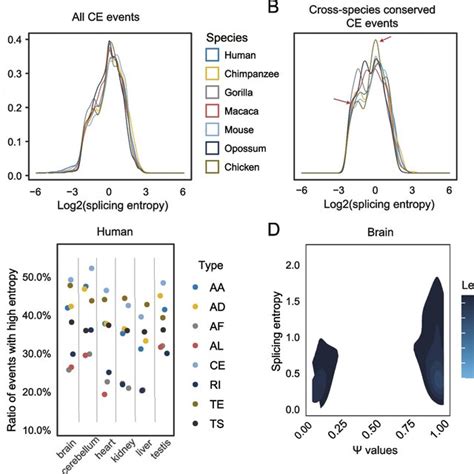 Evolution Of Splicing Complexity A Spearman Correlation Between Human Download Scientific