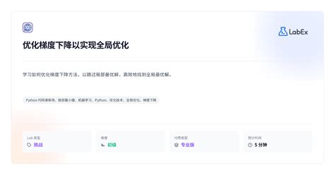 优化梯度下降以实现全局优化 Labex