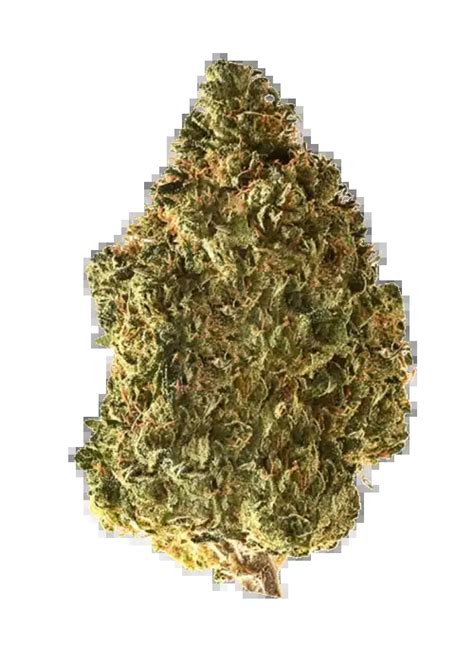 Og Kush Cannabis Strain Information Growdiaries