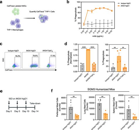The Siglec 6 Mab Ak04 Reduces Human Mcs Via Antibody Dependent Cellular