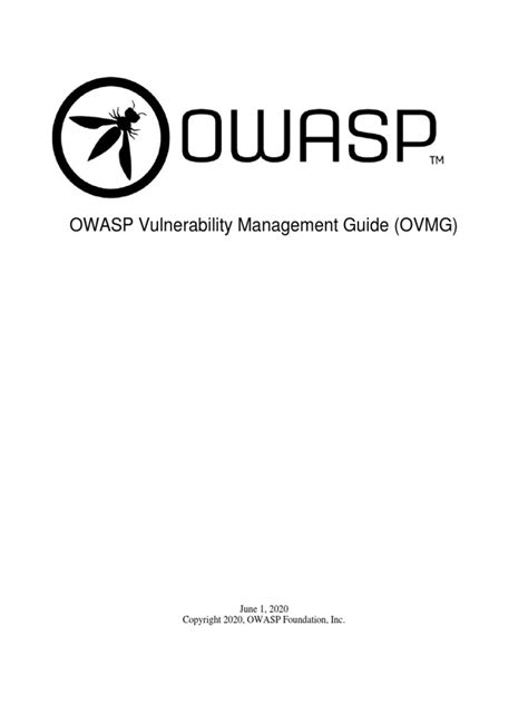Owasp Vulnerability Management Guide Pdf Vulnerability Computing