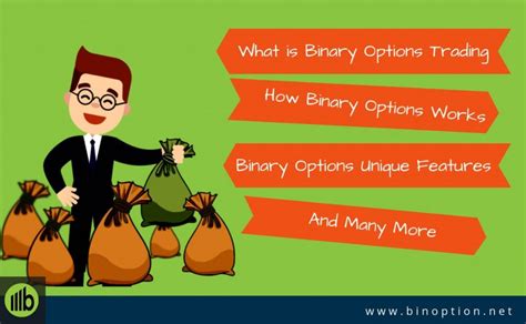 Binary Options Guide For Beginners And Experienced Traders Binoption