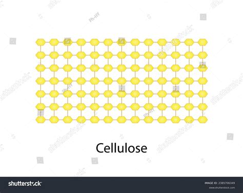 Cellulose Structure Polysaccharide Vector Illustration Stock Vector