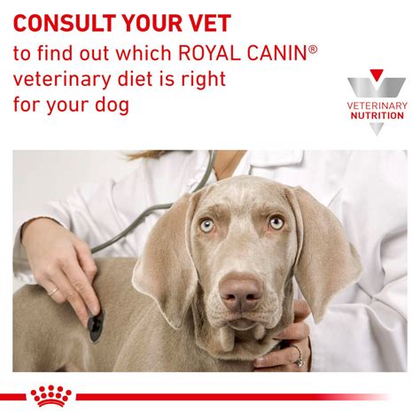 Satiety Weight Management | Royal Canin UK