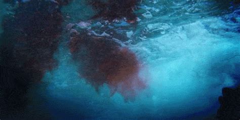 The Tree Of Life Gifmovie Gif WiffleGif