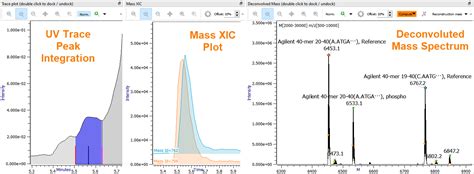 Oligonucleotide And Impurity Uv Ms Quantitation Protein Metrics
