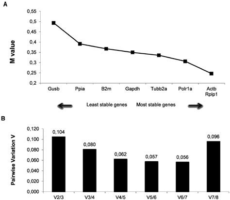 Selection Of The Most Suitable Reference Genes For Normalization In Download Scientific Diagram