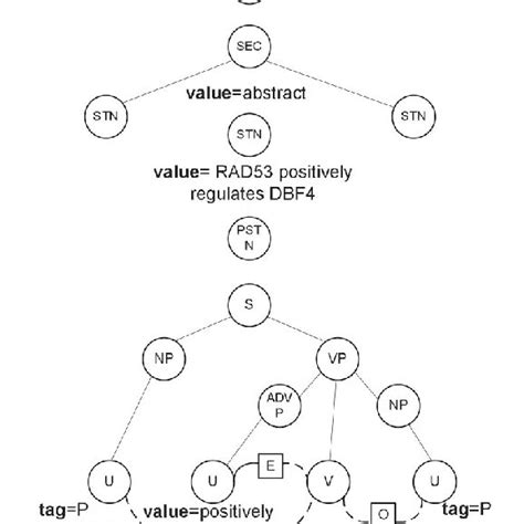 an example of a parse tree for a document which includes sections of