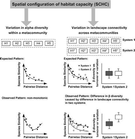 Schematic Representation Of The Effect Of Spatial Configuration Of Download Scientific Diagram