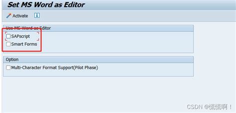 Sap中使用smartforms创建文本时无法正常使用系统文本编辑器，会打开电脑中的wps Office的文件smartforms文本字段