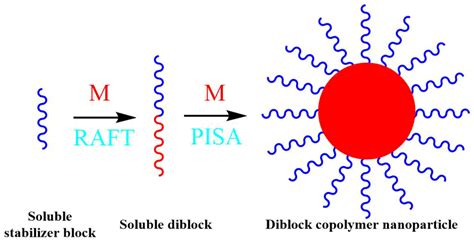 Schematic Representation Of The Self Assembly Process In Download