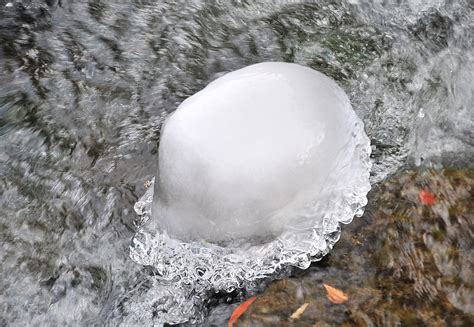 텅 빈 들녘길에서
