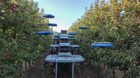 Ai Driven Robots Pick Fruit In Apple Orchards Rockingrobots