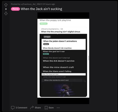 When Flags Dont Fly Rflags