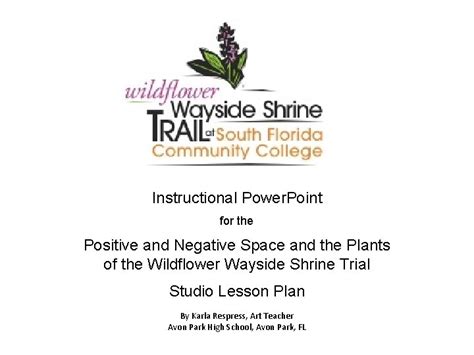 Instructional Power Point For The Positive And Negative