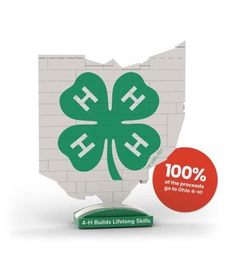 Buy An Ohio 4 H Lego Set Muskingum County 4 H