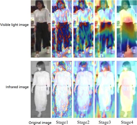 in resnet50 each level feature heat distribution map of the pedestrian