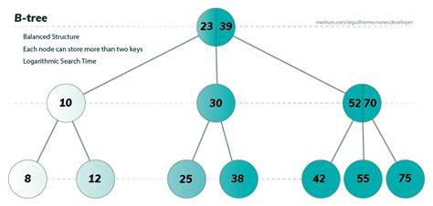 B Tree Structures In Database Systems By Guilherme Nunes May 2024