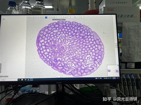 数字病理切片扫描仪怎么选？ 知乎