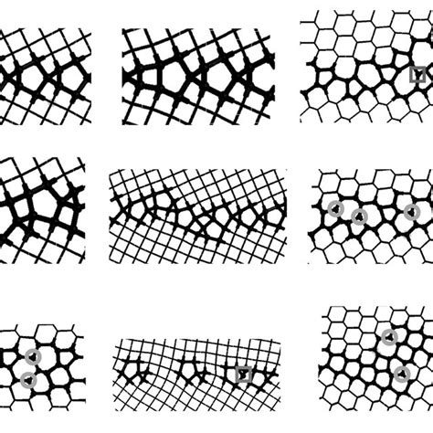 Geometry Of The Structures Of The Tilt Grain Boundaries The Numbering Download Scientific