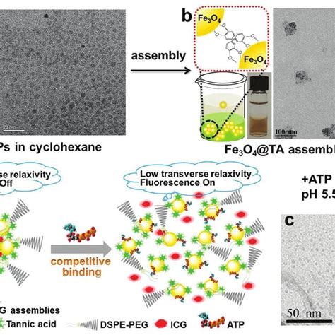 Construction Of The Smart Assemblies And Schematic Illustration Of The