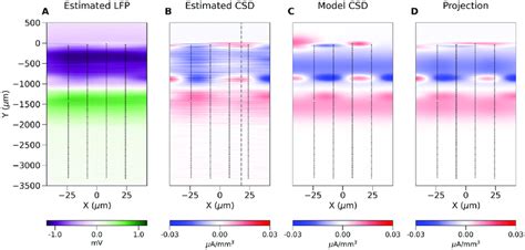 A Lfp And B Csd Profiles Within The Recording Plane During The Peak