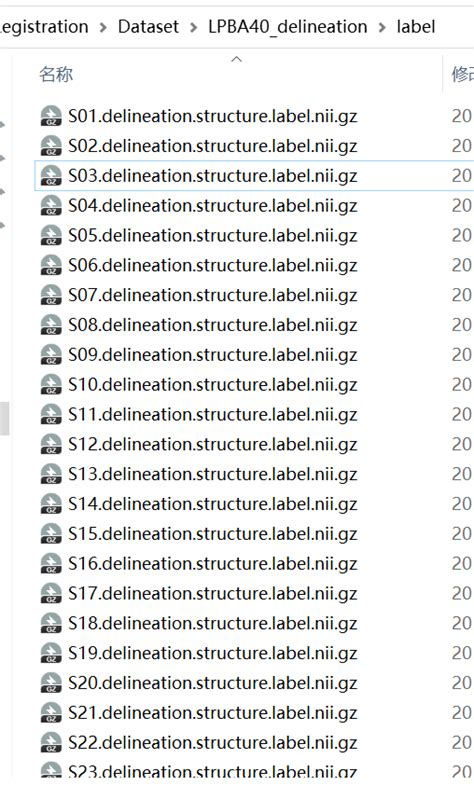 The Process Of Making And Loading Datasets Issue Junyuchen ViT V Net For D Image