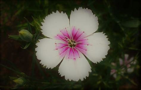 愉快的pandas学习记录 Ep01 日期时间格式化方法 知乎