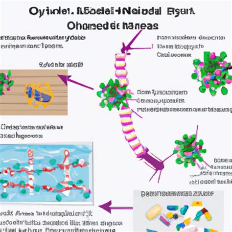 How Does Clindamycin Work Exploring Its Anti Bacterial Properties The Enlightened Mindset