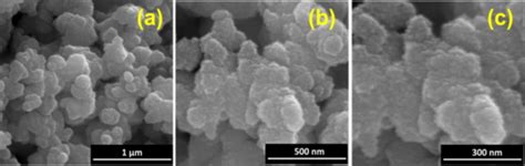 The FE SEM images of TiO 2 QDs at different scales a 1 µm b 500 Download Scientific