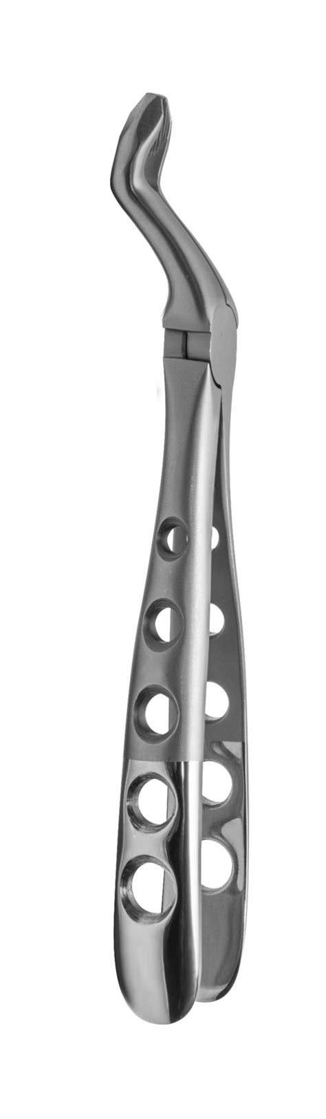 A Titan Instruments Upper Molar Plus Series Forceps