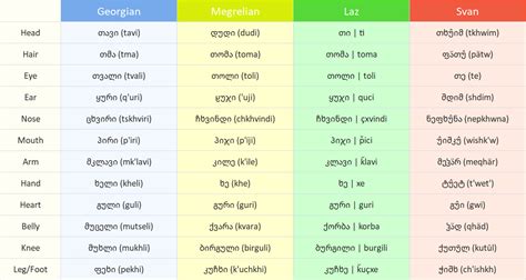 სხეულის ნაწილები ქართველურ ენებზე R Rustaveli