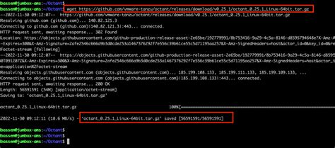 Gain Insight Into Tanzu Kubernetes Clusters Using Vmware Project Octant