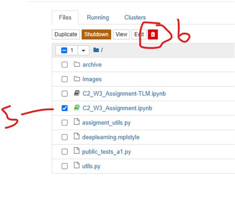 multiple issues with programming assignment practice lab advice for