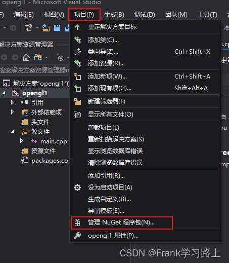 【opengl】创建gl points frank学习路上的博客 csdn博客
