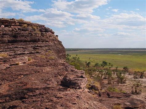 Tricorder Tech Genetic Methods Enable The Use Of Fossil Lipids As Biomarkers For Oxygen