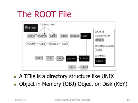 PPT ROOT PowerPoint Presentation Free Download ID 473920