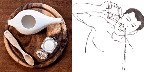 Jala Neti For Allergies Ayushkaam Ayurveda