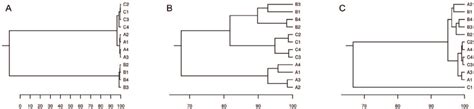 Dendrograms Based On Similarity Matrices Determined From The Clusters