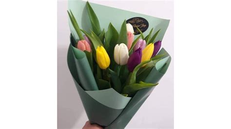 ჰოლანდიური ტიტების თაიგული 10 ტიტა Nene Flower Shop Wolt