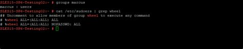 what s the difference in linux between the commands su vs su without