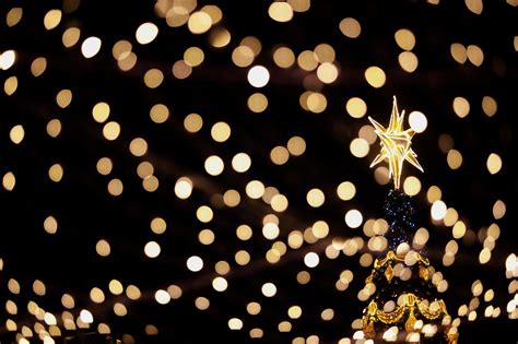 ФОТО Сүхбаатарын талбайн ШИНЭ ЖИЛИЙН ГОЁЛ