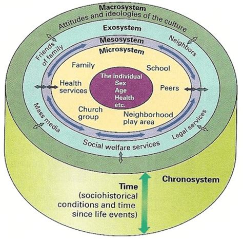 Bronfenbrenner's Bioecological Model of Human Development, adapted from ...