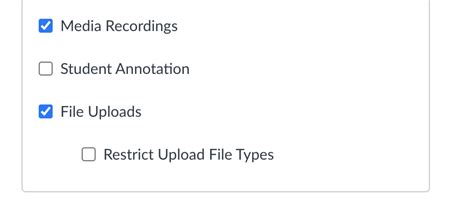 Solved Archived Canvas Is Not Letting Me View Files Wit