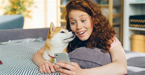 Veterinary Mobile App Development With Kotlin Appilian