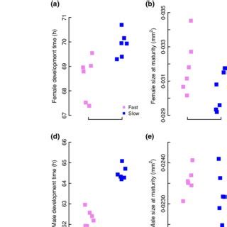 Juvenile Development Time Size At Sexual Maturity Growth Rate Total Download Scientific