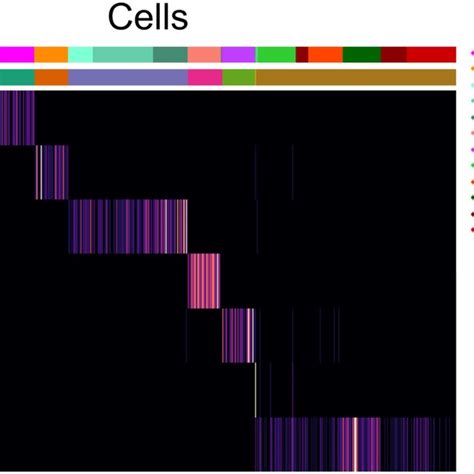 heatmap of the pattern matrix with cells matched to learned patterns