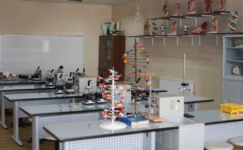 Skhivi Skhivi Education